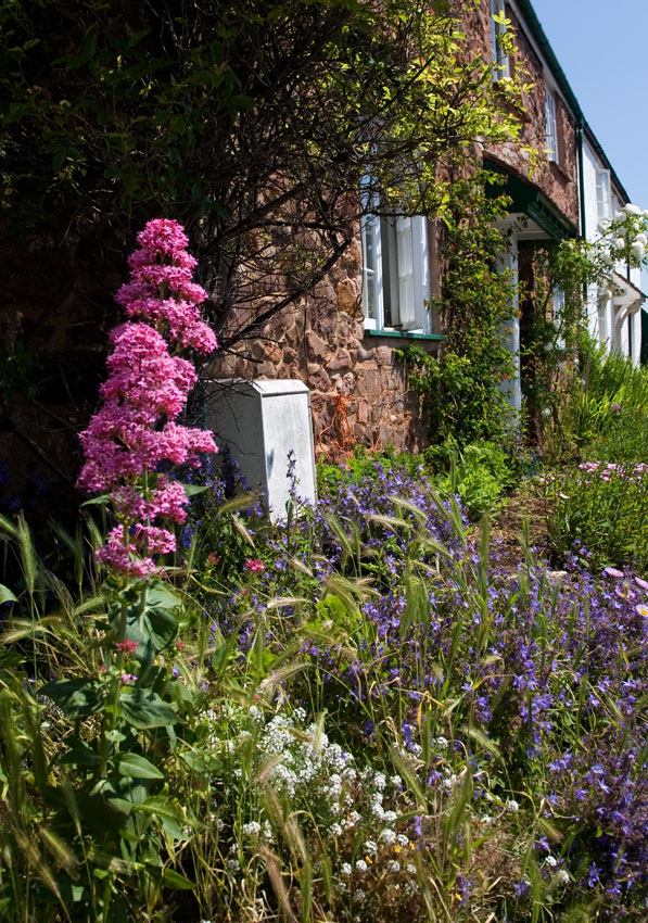 Dunster Cottage Garden | Somerset Guide
