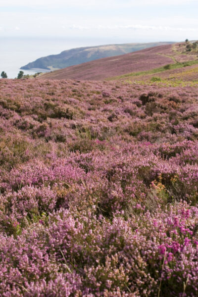 Towns of Somerset | Somerset Guide